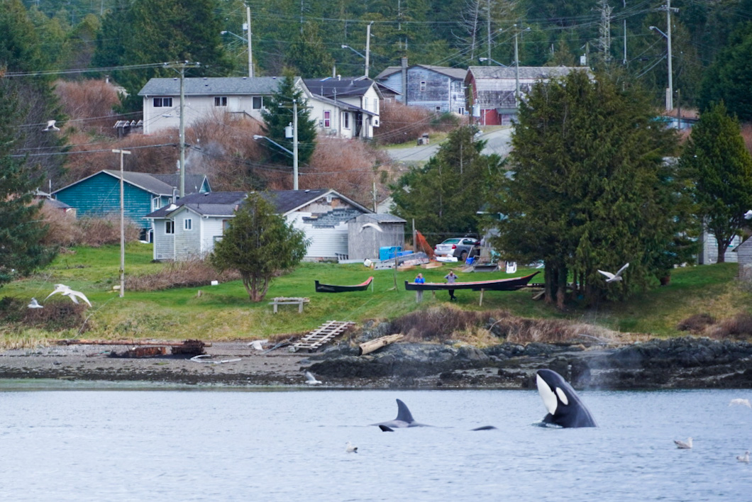 Yuułuʔiłʔatḥ Government – Ucluelet First Nation